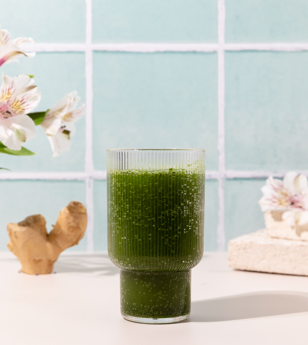 Matcha Ginger Beer Refresher | Blume Wholesale